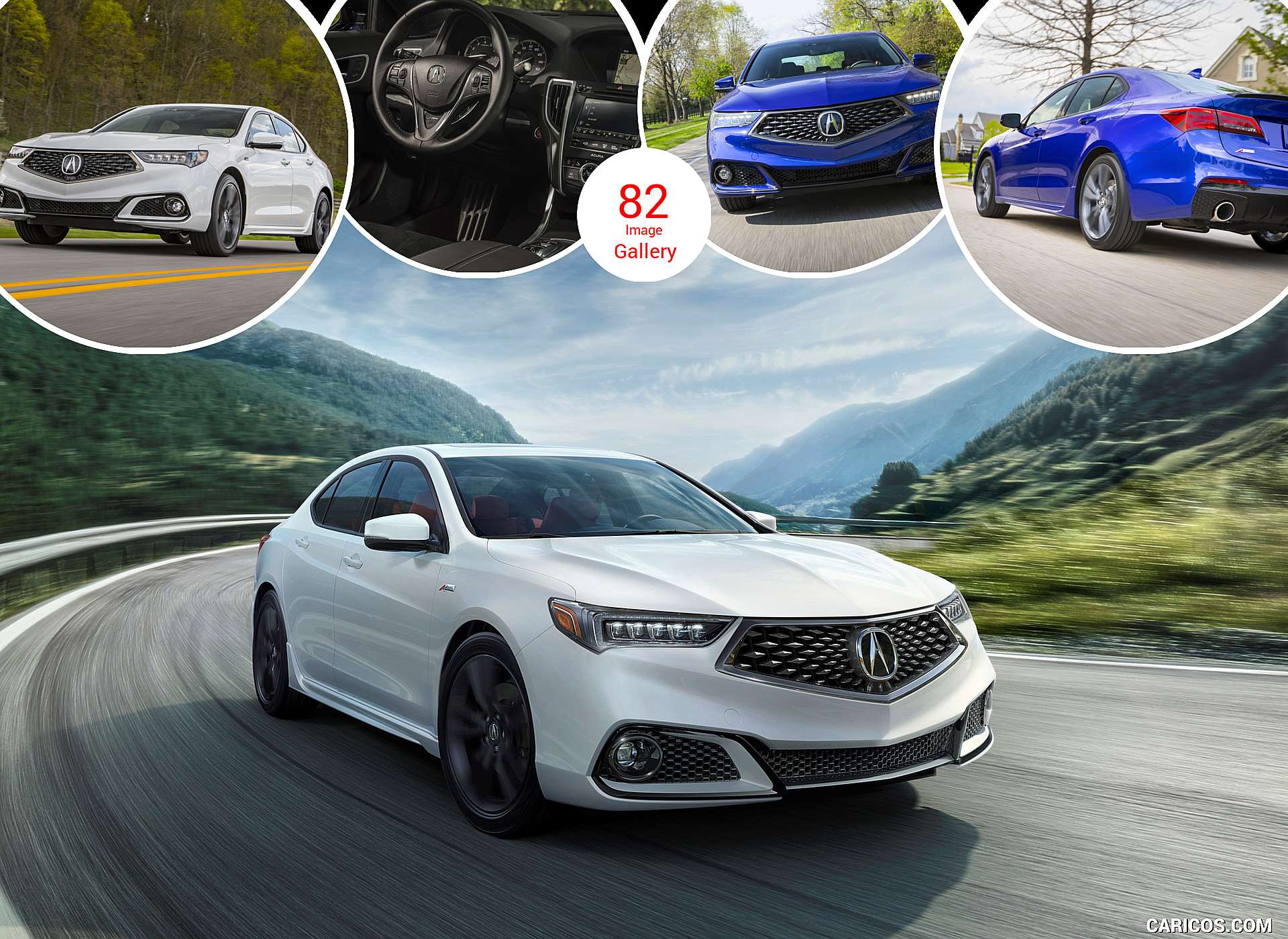 2019 Acura TLX | Caricos