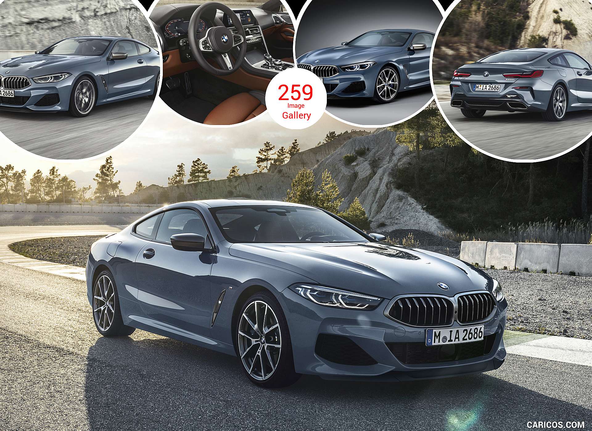 2019 BMW 8-Series | Caricos.com
