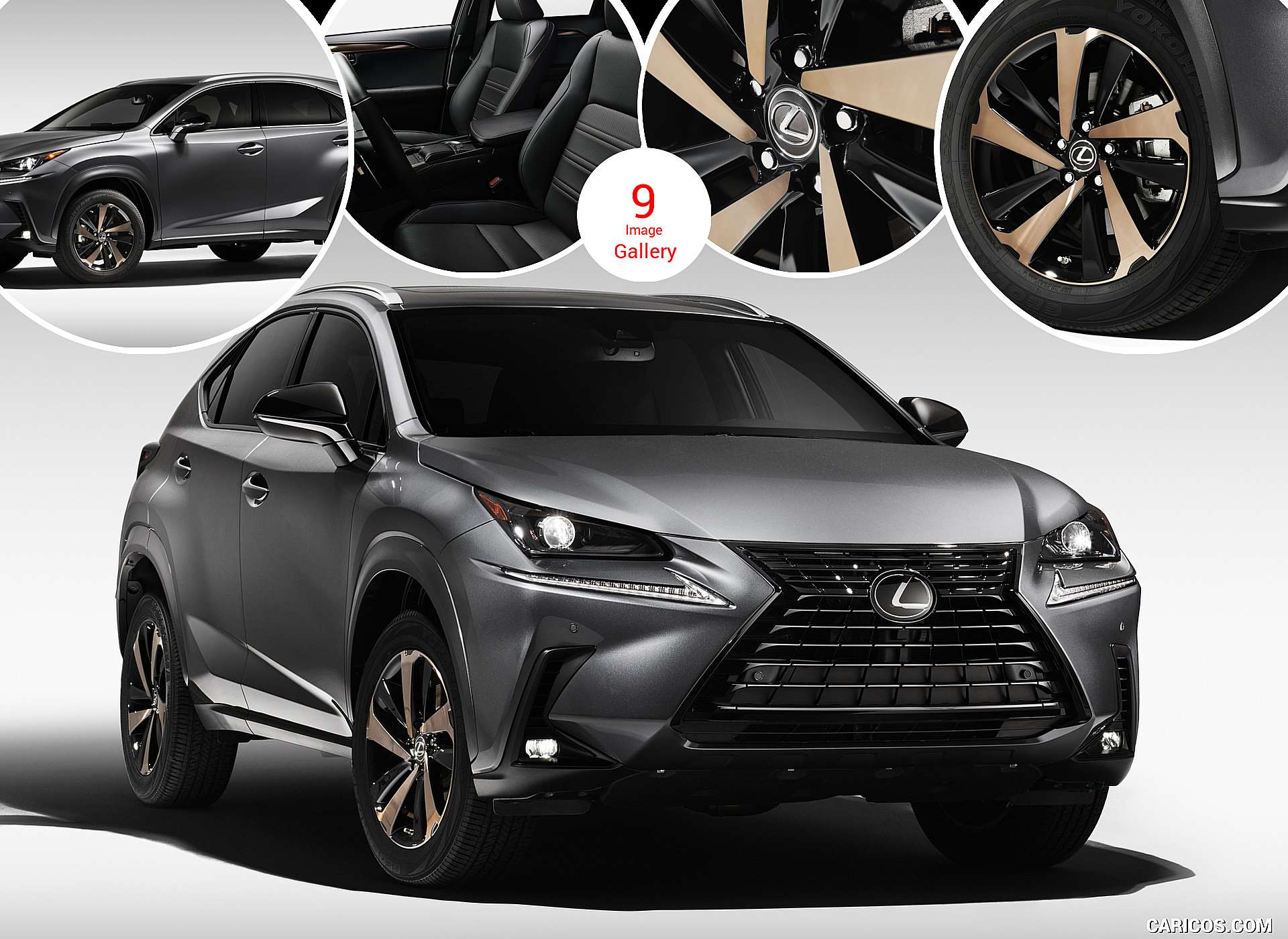 2020 Lexus NX Black Line Special Edition | Caricos
