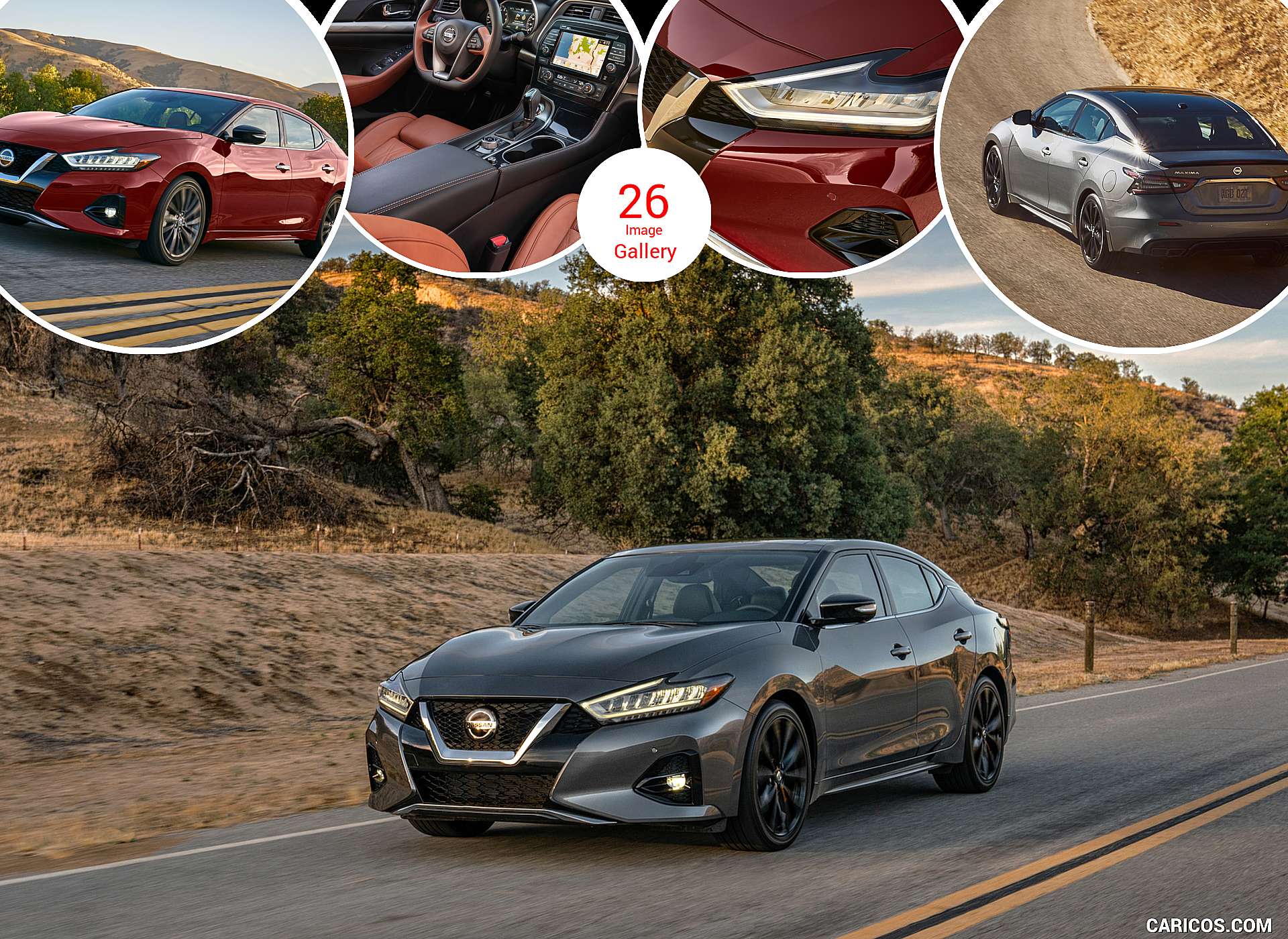 2019 Nissan Maxima | Caricos